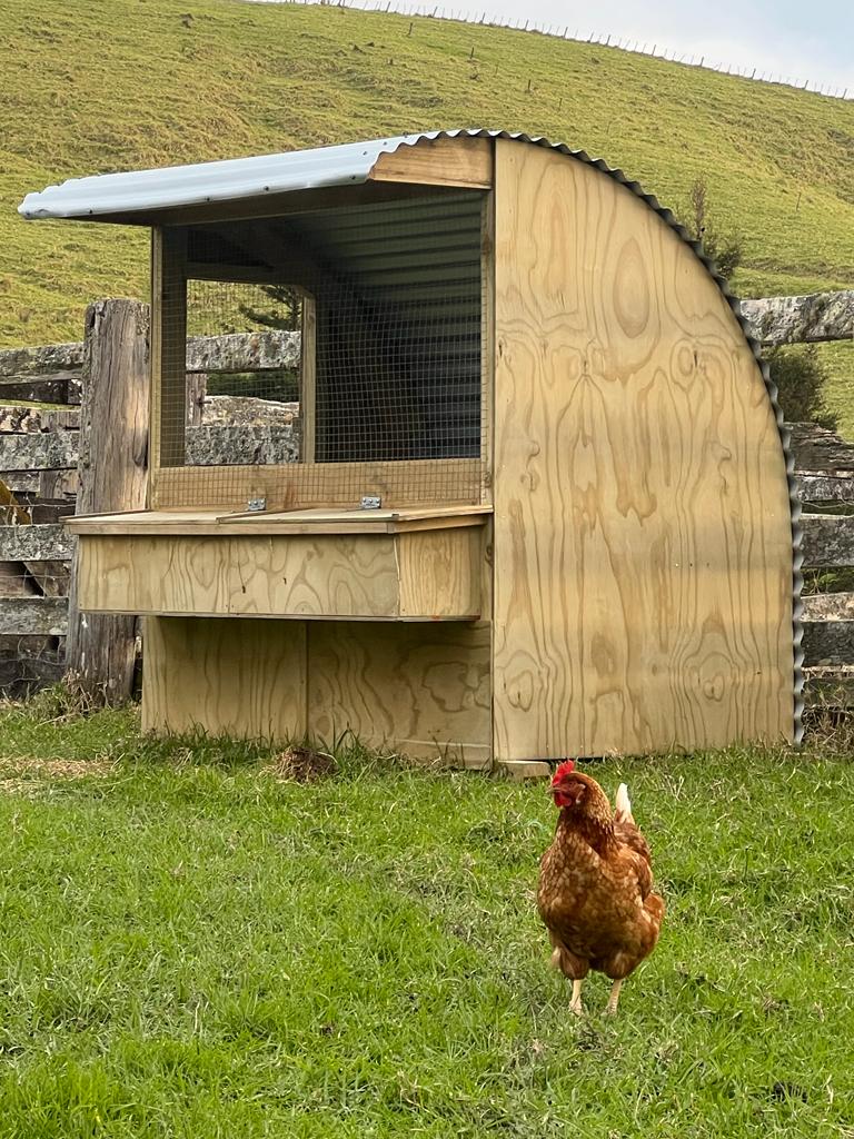 Hen House - 9 hen max – Peter & Son NZ